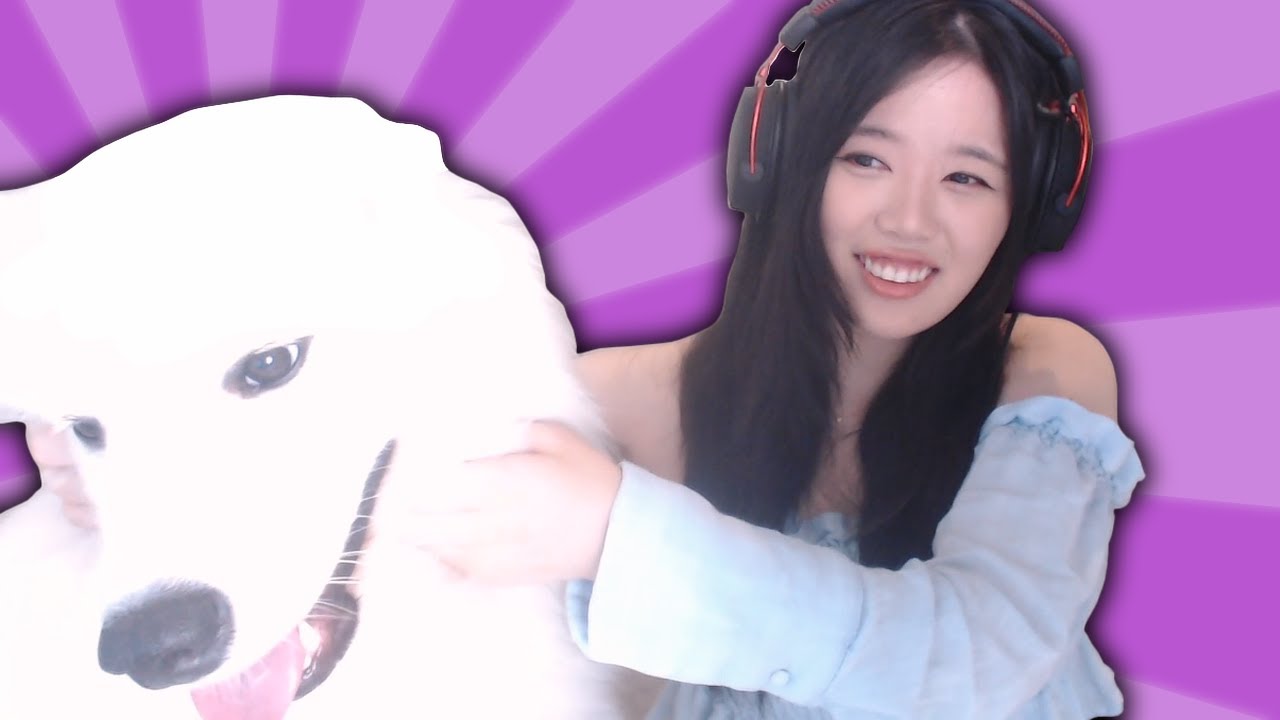 my dog is nightmare fuel - valorant with friends - YouTube