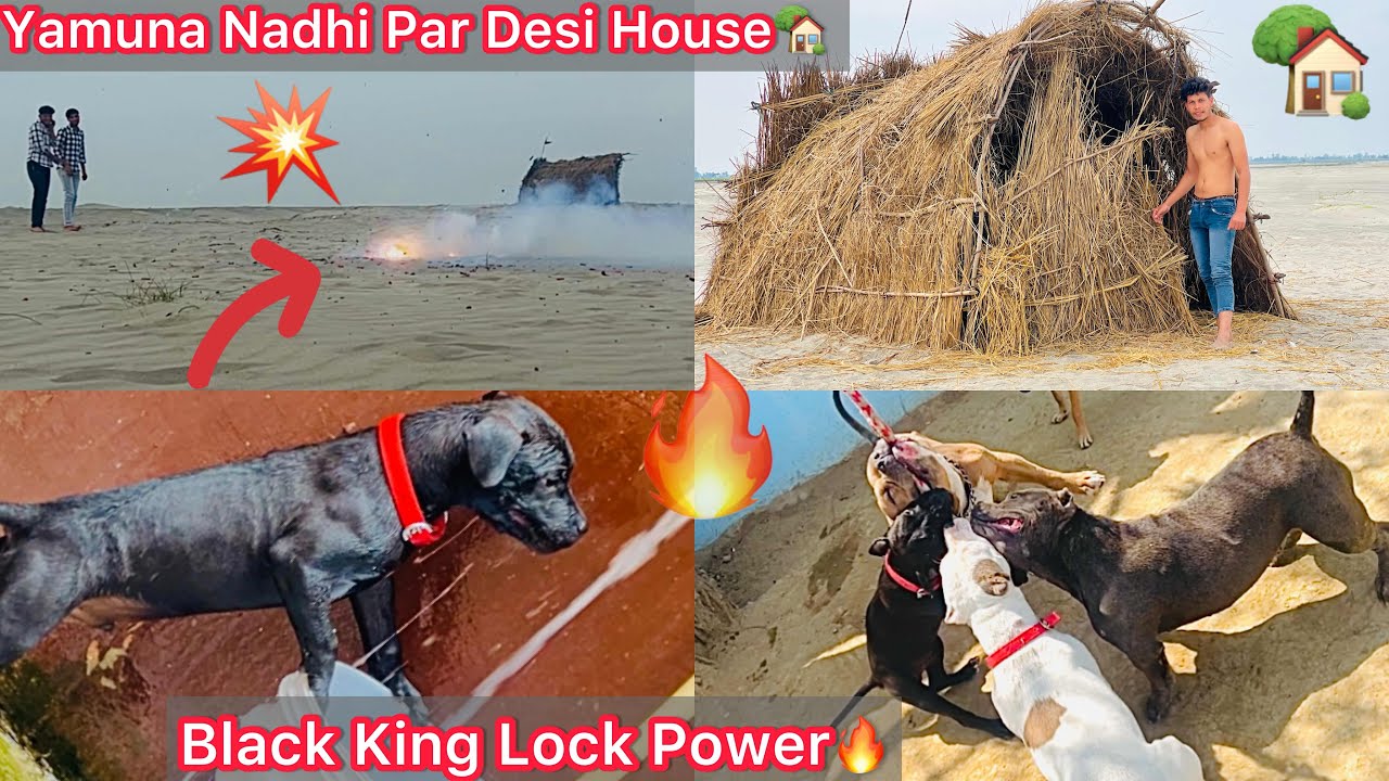 My Birthday Celebration🎉Yamuna Nadhi Par Dhamka Kar Diya🔥|| Black King ...