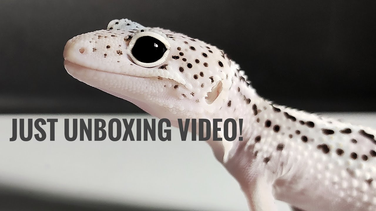 Mack Snow Eclipse video Unboxing! - YouTube