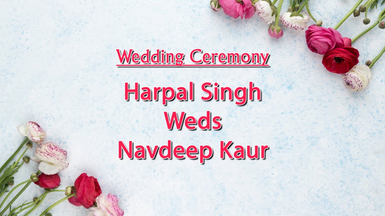 Live Wedding Ceremony ll Harpal Singh & Navdeep Kaur - YouTube