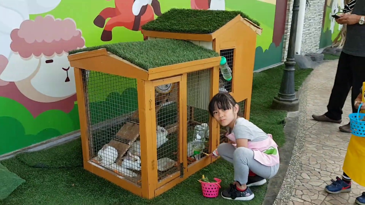 Bermain Kelinci di Mini Zoo - 23 Paskal Bandung - YouTube