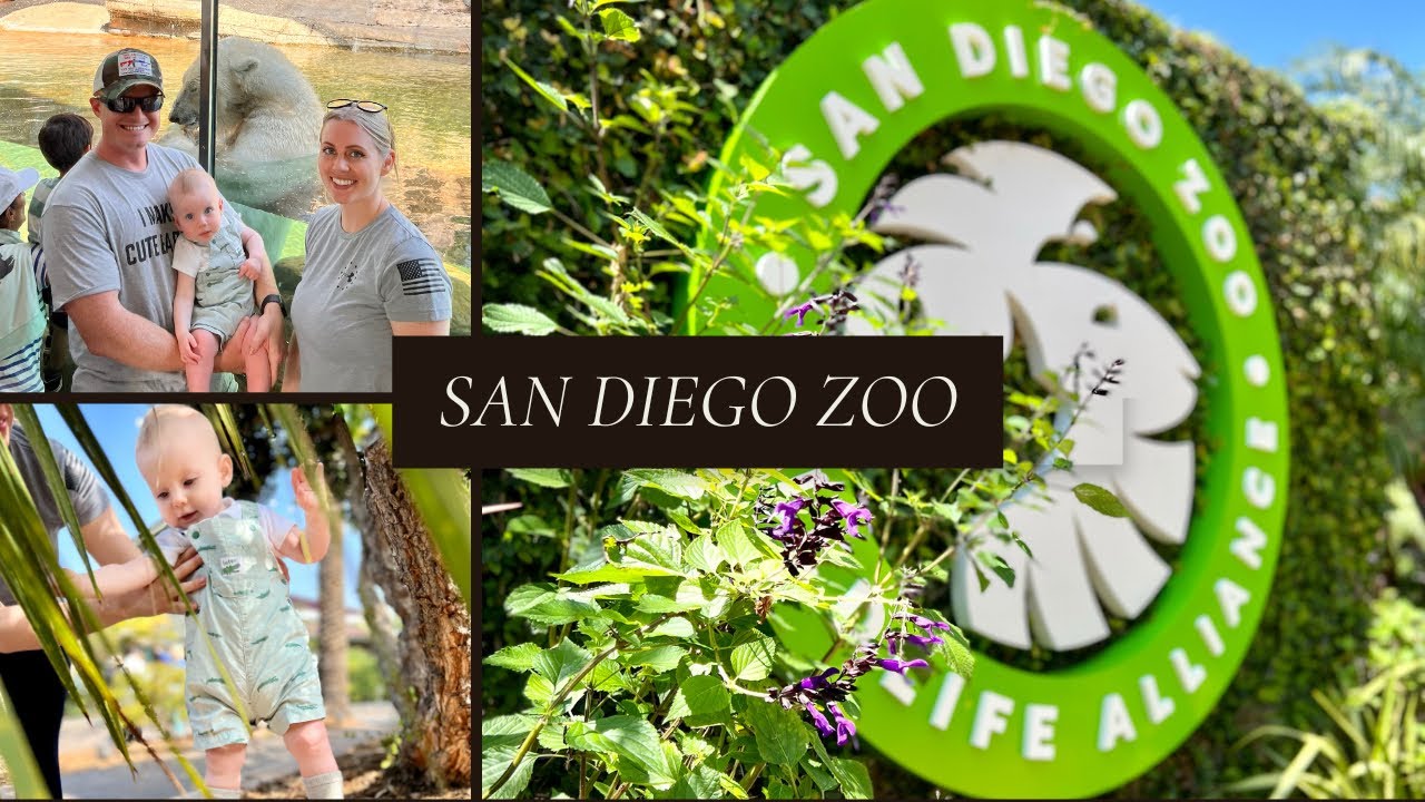 San Diego Zoo | Family Adventure - YouTube