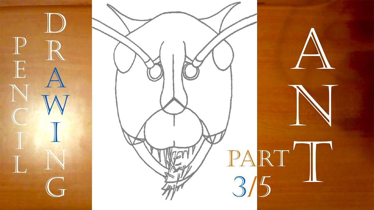 How to Draw an Ant Face Under a Microscope Step by Step Easy | PENCIL ...