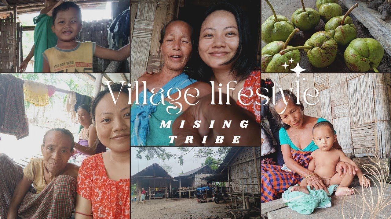 VILLAGE LIFESTYLE// ☺MISING TRIBE// MISING FOOD and MISING PEOPLE OF ...