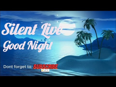 SILENT LIVE Enjoy the Music Good Night July 26 2024 - YouTube