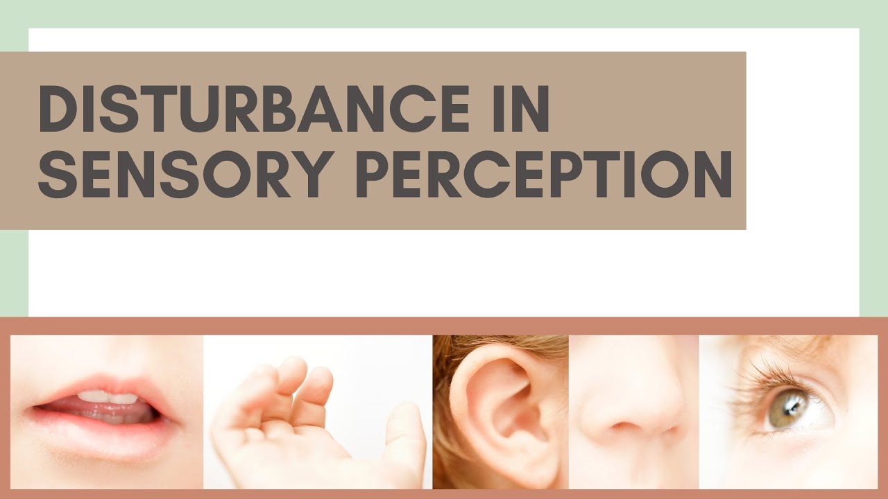 DISTURBANCE IN SENSORY PERCEPTION - YouTube