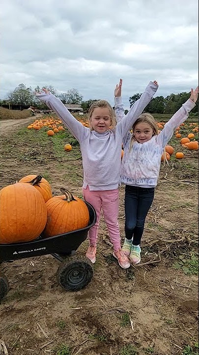 Pumpkin Patch Picking 🎃 - YouTube