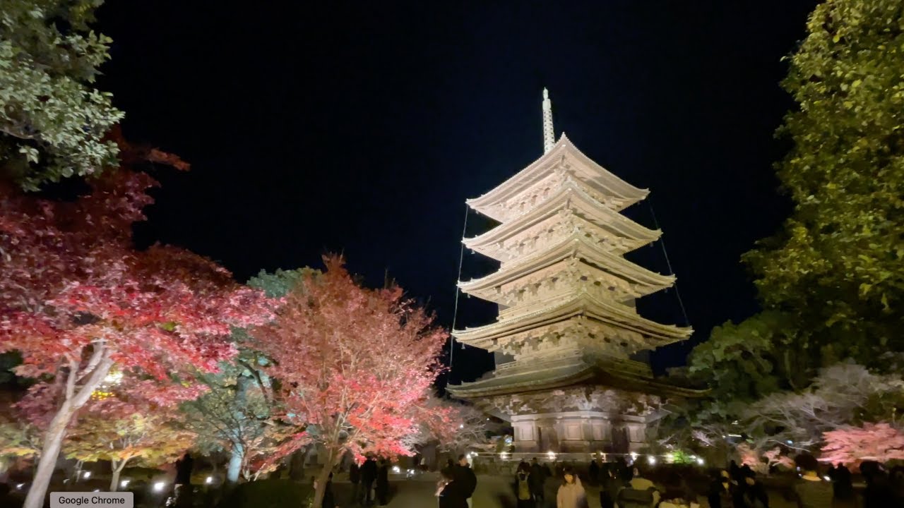Toji Temple: Night Illumination in Autumn 2020 4K - YouTube