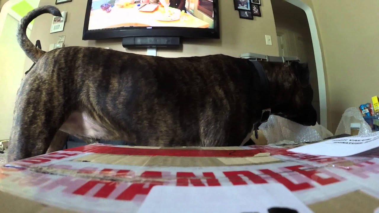 RCMax 46 Unboxing - YouTube