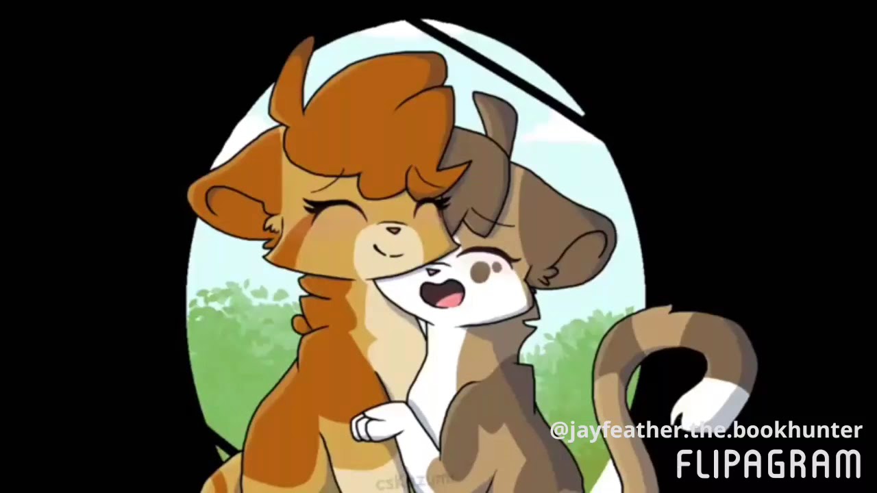 Warriors Mothwing x Leafpool- You'll be in my heart - YouTube