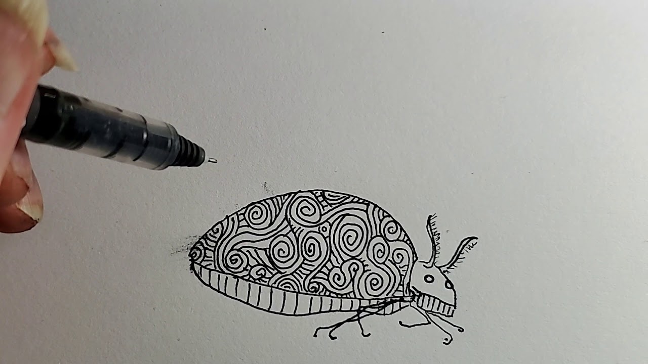 Doodle Bug & Friend Flower 🐞🌺 - YouTube