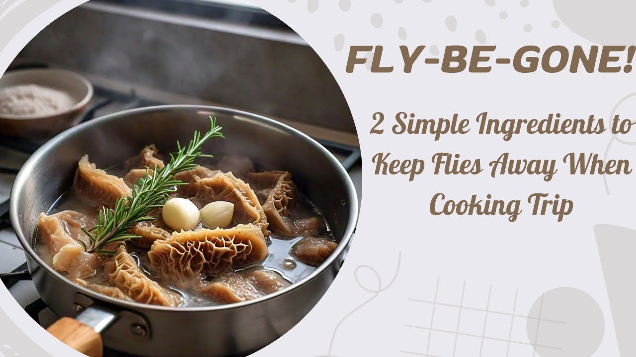 Fly-Be-Gone! 2 Simple Ingredients to Keep Flies Away When Cooking Tripe ...