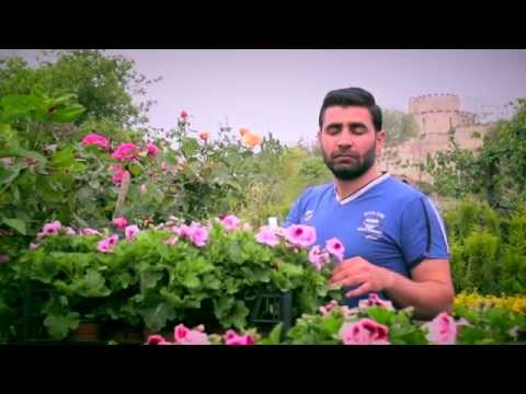 EMİN DEVRİM GULAMIN HD