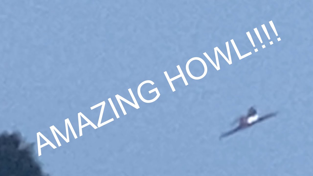 *AMAZING HOWL!!* Bombardier Challenger 300 [CL30] Flyover my house ...