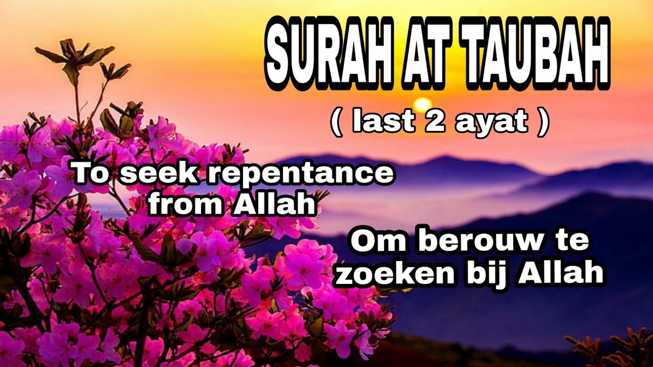 SURAH AT TAUBAH last 2 ayat with English and Dutch Translation Nederlandse