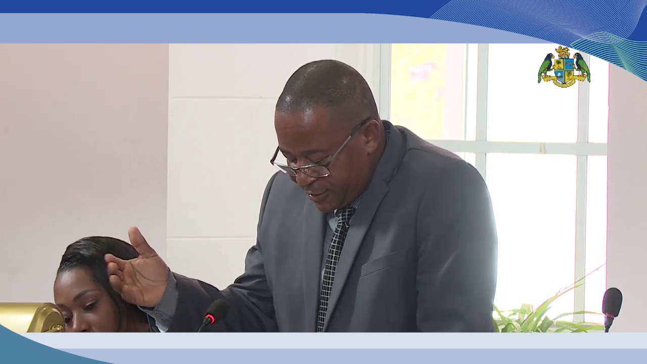 2018 Budget Debate Sen. Felix Thomas - YouTube