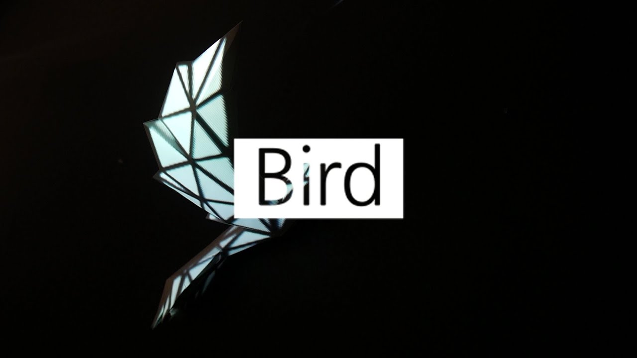 Projection Mapping - Bird with HeavyM - YouTube