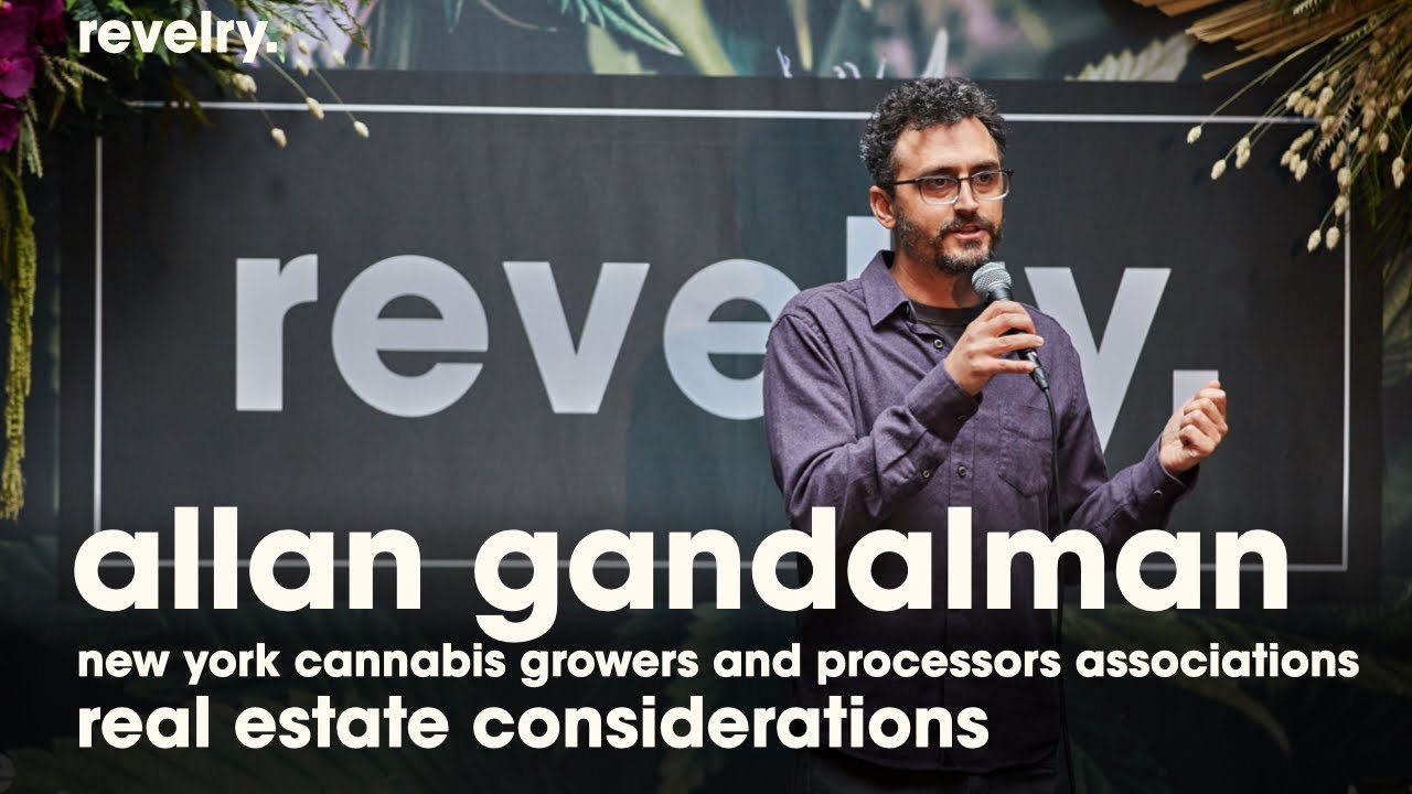 New York's Cannabis Licenses Explained | Allan Gandelman of NYCGPA ...