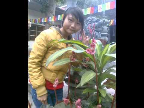 David Kull s2 Kull Siêu Nùn - YouTube