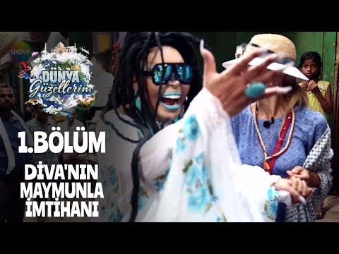 Dünya Güzellerim 1.Bölüm | Bülent Ersoy'un hırsız maymunla imtihanı 👜🐵