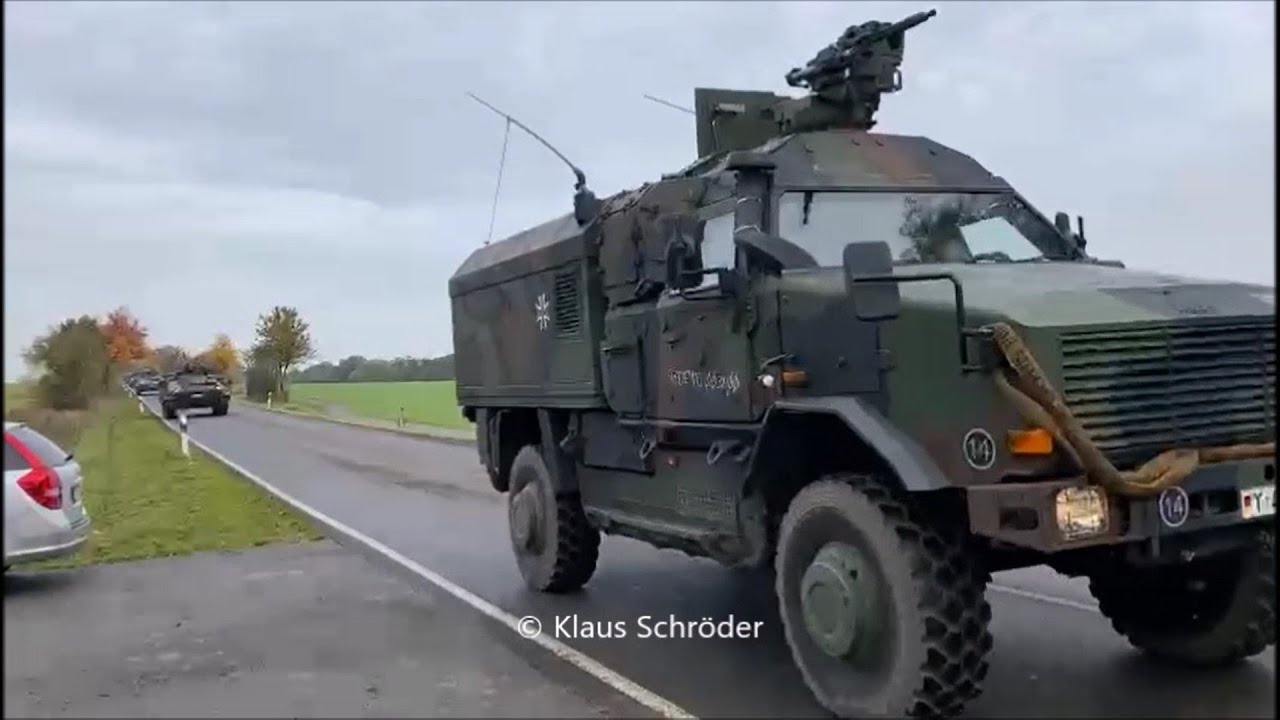 Leopard, Marder, Fuchs, Dachs, Dingo, Büffel - YouTube
