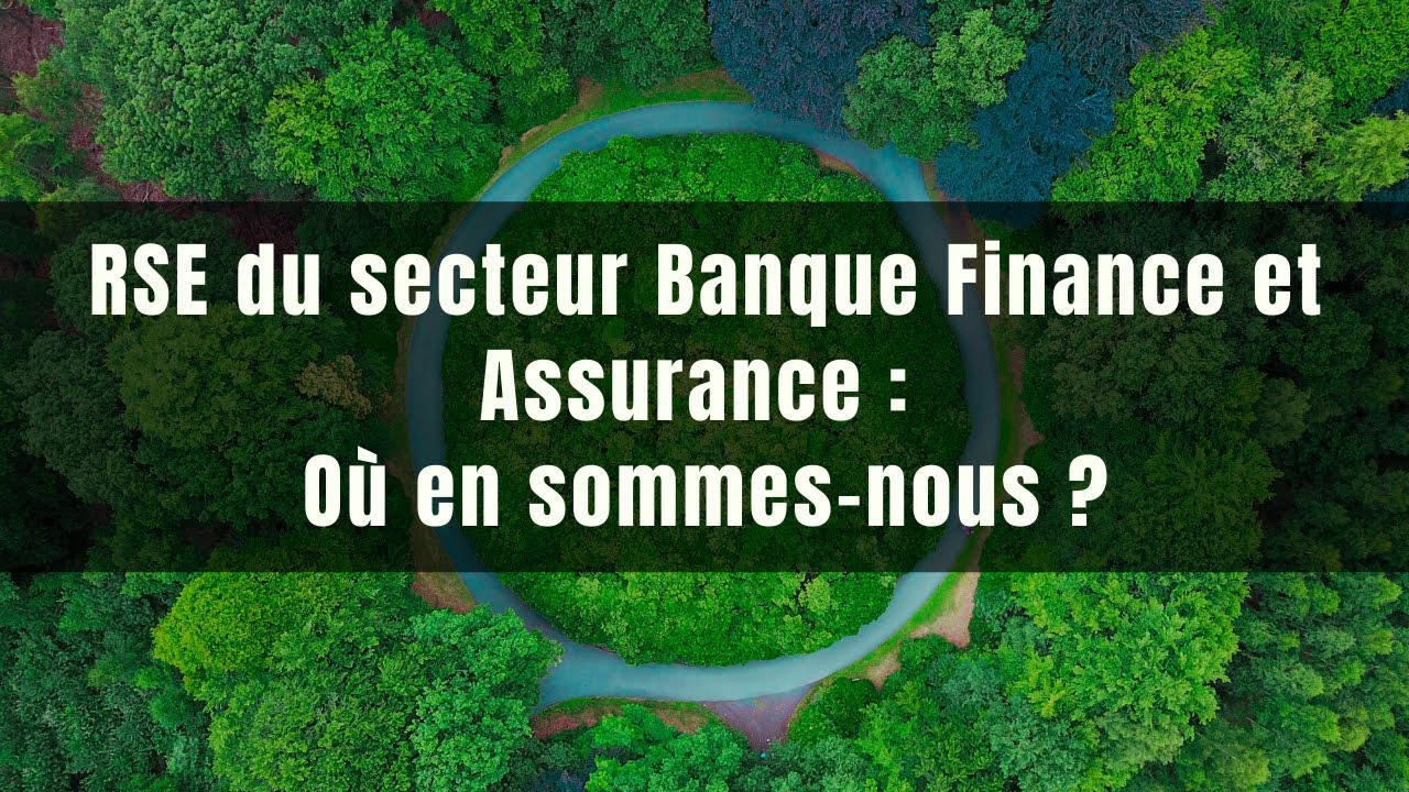RSE du Secteur Banque, Finance et Assurance où en sommes-nous ? Par ...