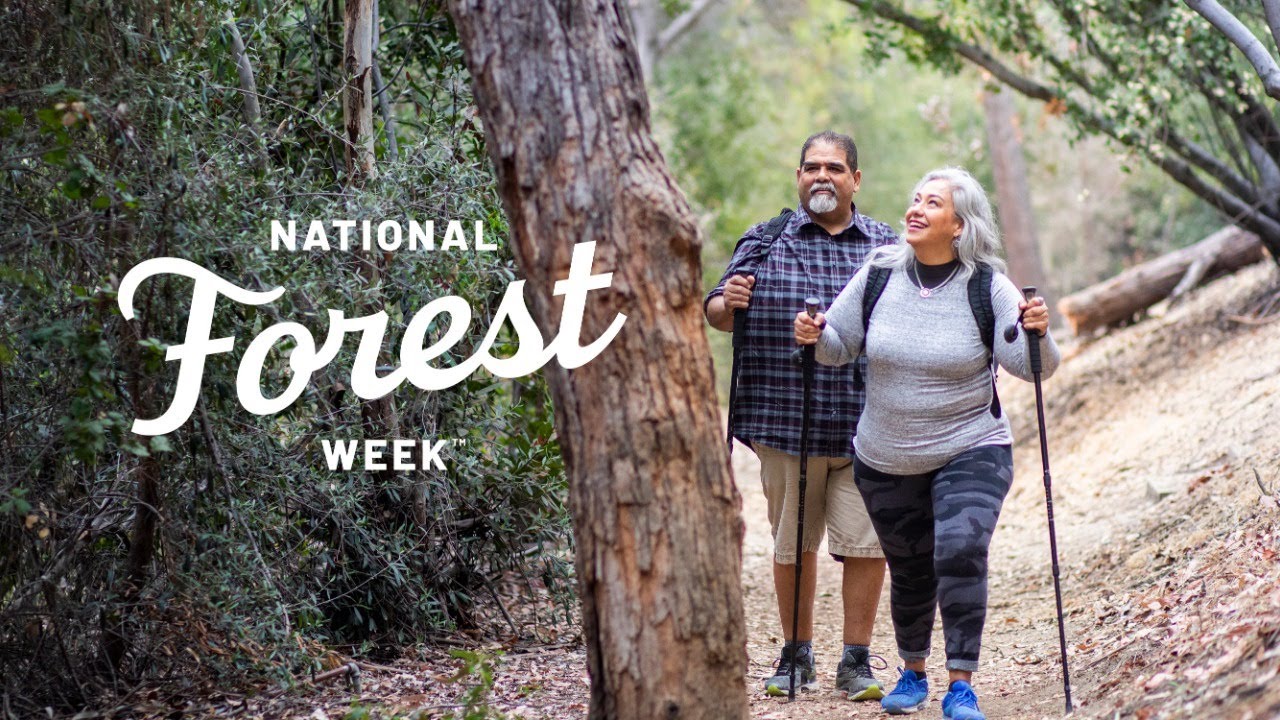 National Forest Week 2021 Live Kick-off Celebration - YouTube