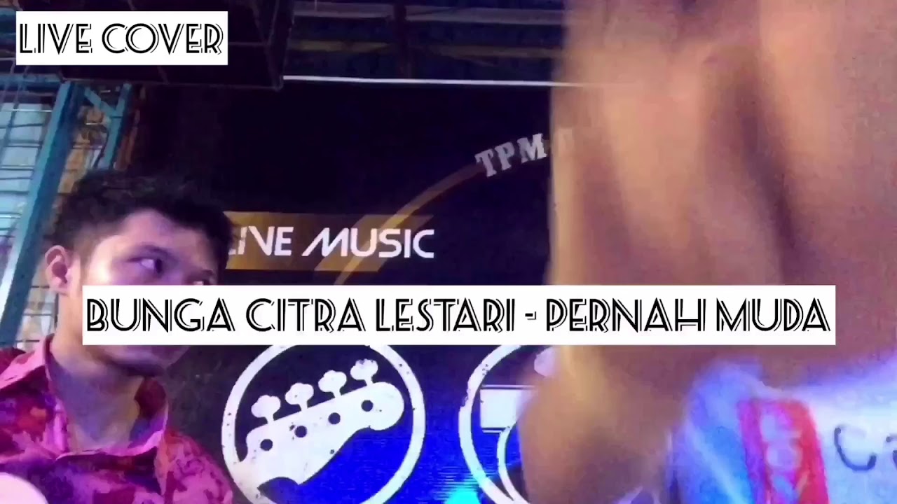 Bunga citra lestari - pernah muda (live covar) #bcl #pernahmuda - YouTube