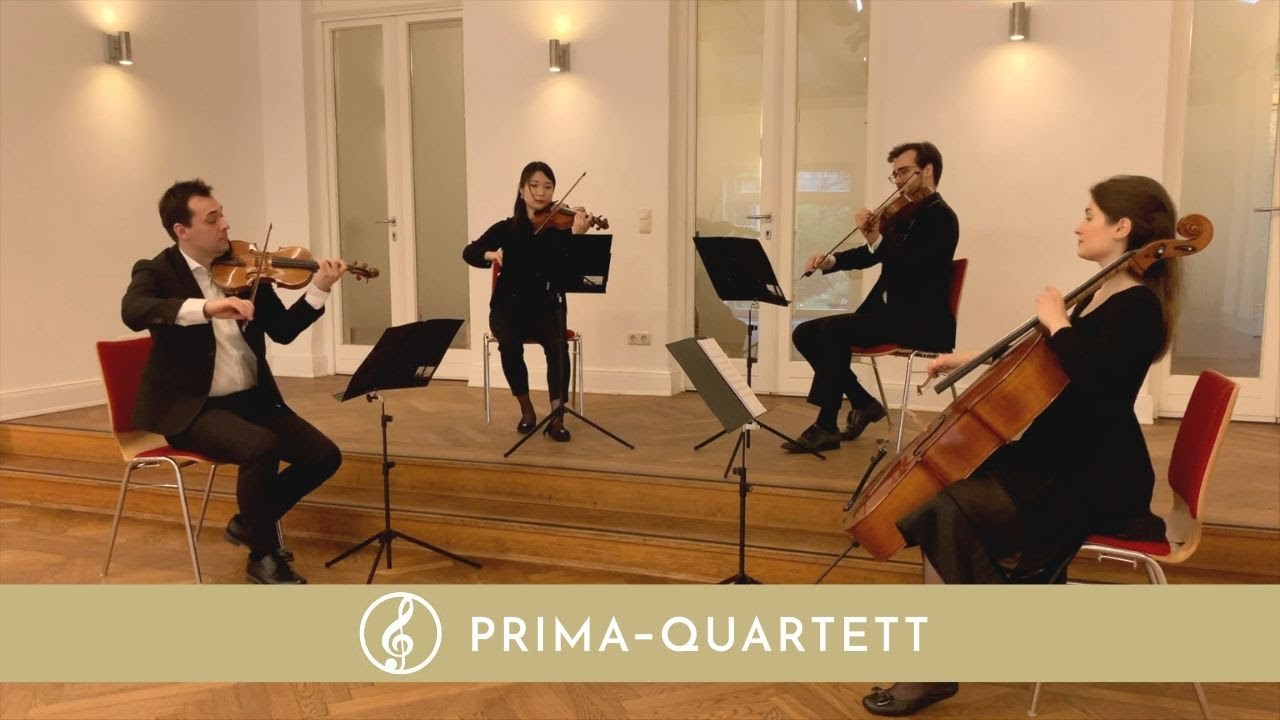 茉 莉 花 Mo Li Hua (Jasmine Flower) - Chinesisches Volkslied ...