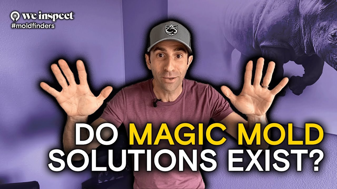 Do Magic Mold Solutions Exist? - YouTube