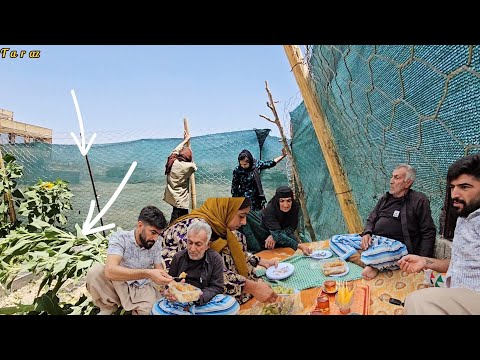 🌾🏡 Rural Life 🌧️💔 Destroyed Garden 🍃💪 Sajjad ❤️ Rahaleh 🍯 Mountain Honey 🤝 Uncle Mahmoud 💚🙏