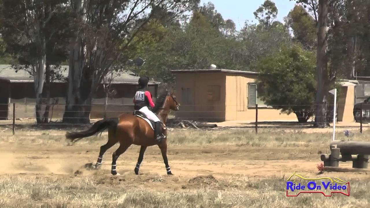 113XC Heather Lamb on Cristal de Carlier SR Training Cross Country ...
