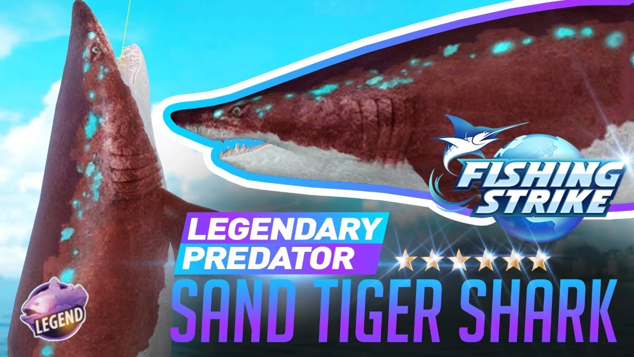 《釣魚大亨 Fishing Strike》 Legendary Predator Sand Tiger Shark Mozambique ...