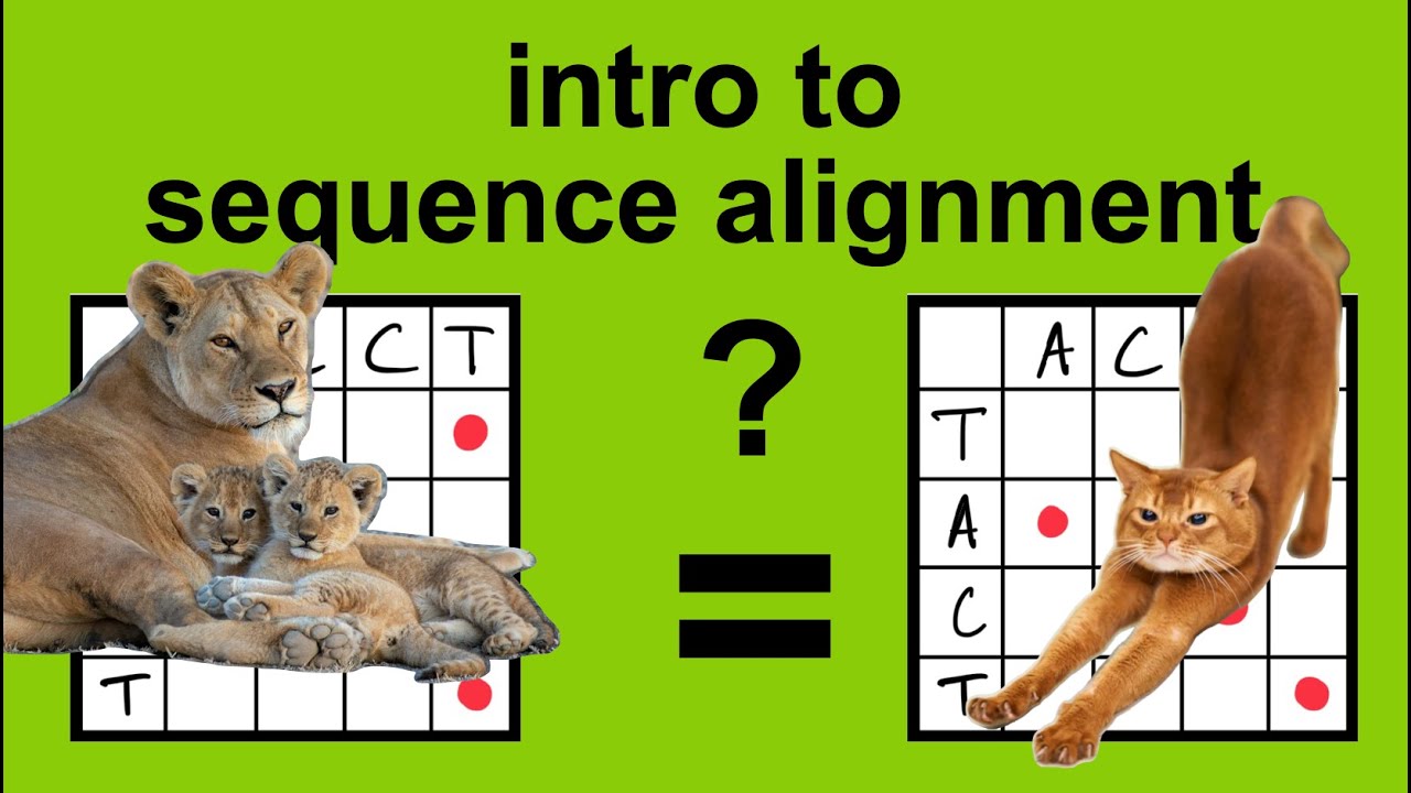 Sequence Alignment 1: The Dot-matrix method - YouTube