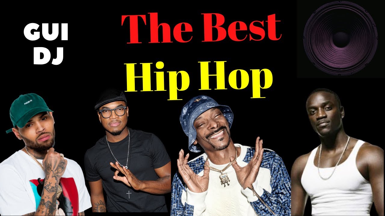 The Best Hip Hop - R&B - Chris Brown, Snoop Dogg, Ne-Yo, Akon | DJ Gui ...
