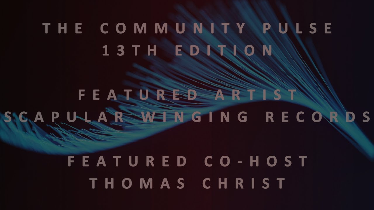 The Community Pulse - 13th Edition - YouTube