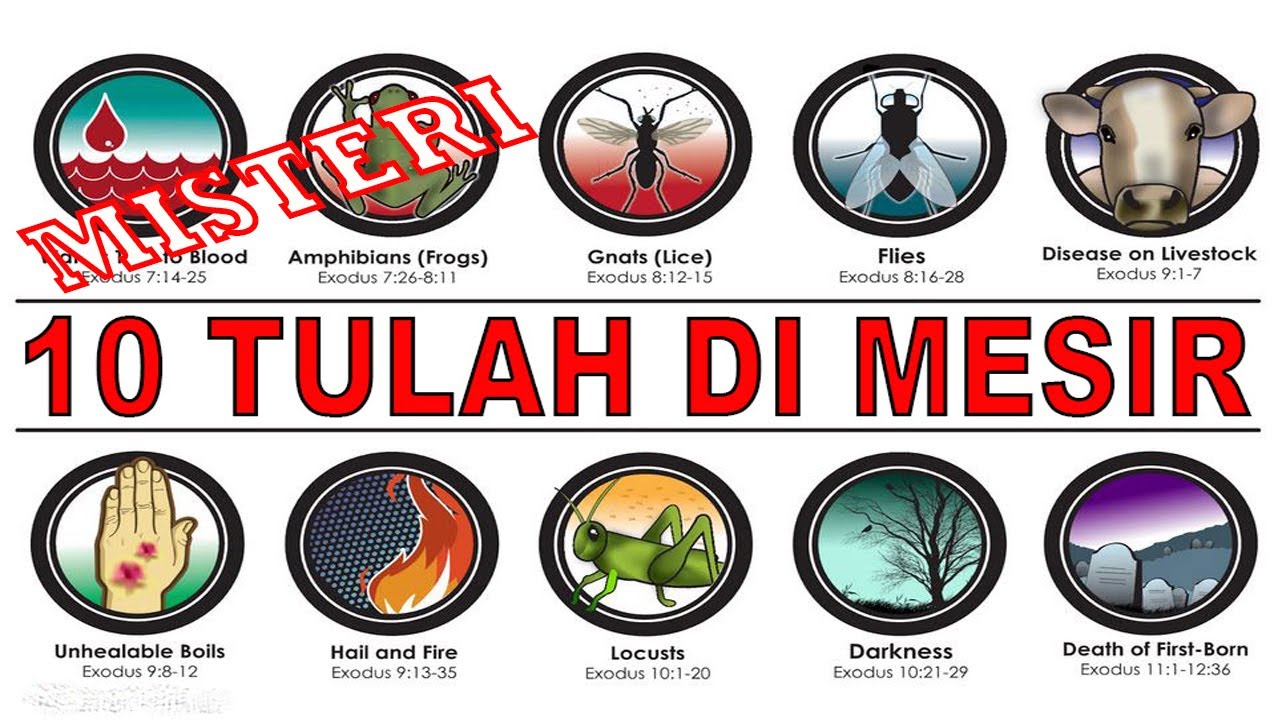 10 TULAH DI MESIR - YouTube