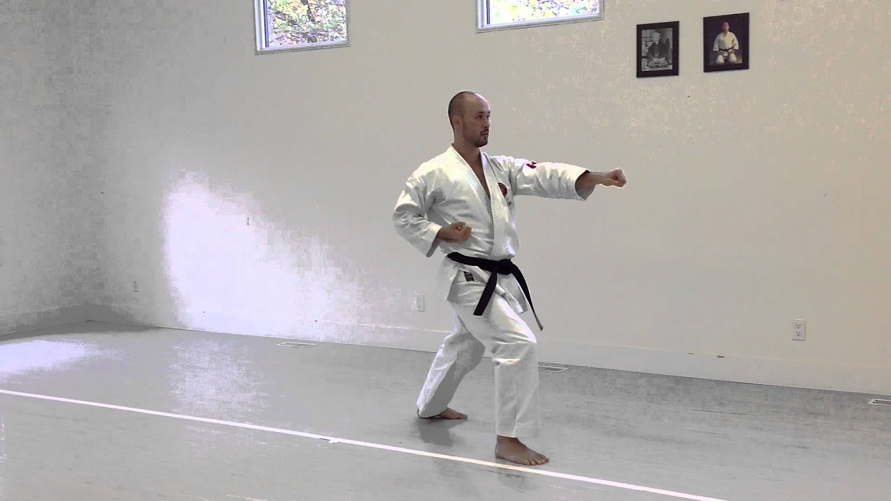 Outside Block, Reverse Punch (back) | IKD Testing Syllabus videos ...