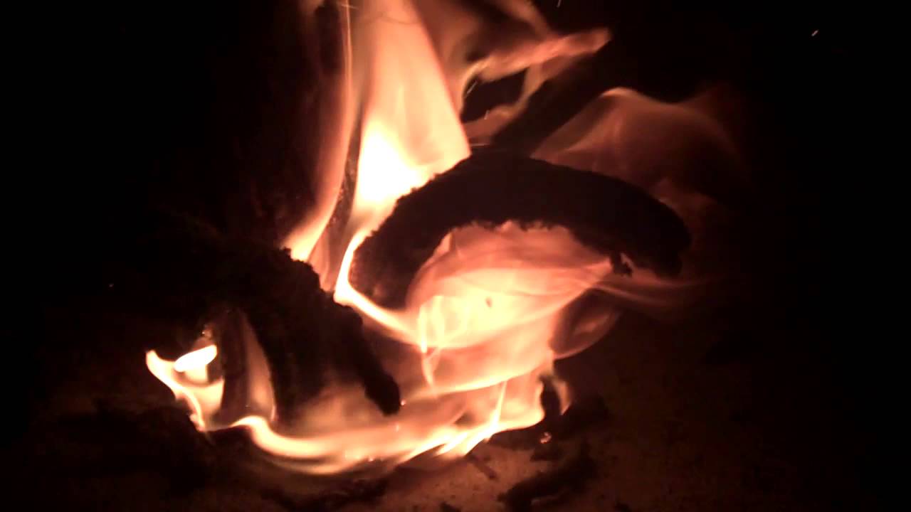 GIANT SNAKE ON FIRE - YouTube