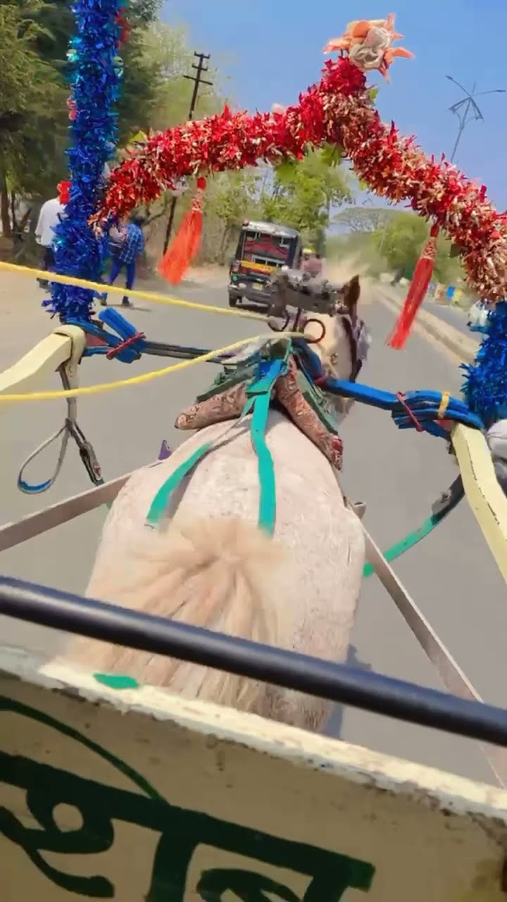 Tangewala 🤣😉⚡️ #explorepage #explore #viral #exercise #like #reels # ...