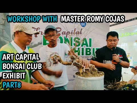 P8+LAST DAY OF BONSAI EXHIBIT+ART CAPITAL BONSAI CLUB+WORKSHOP WITH ...