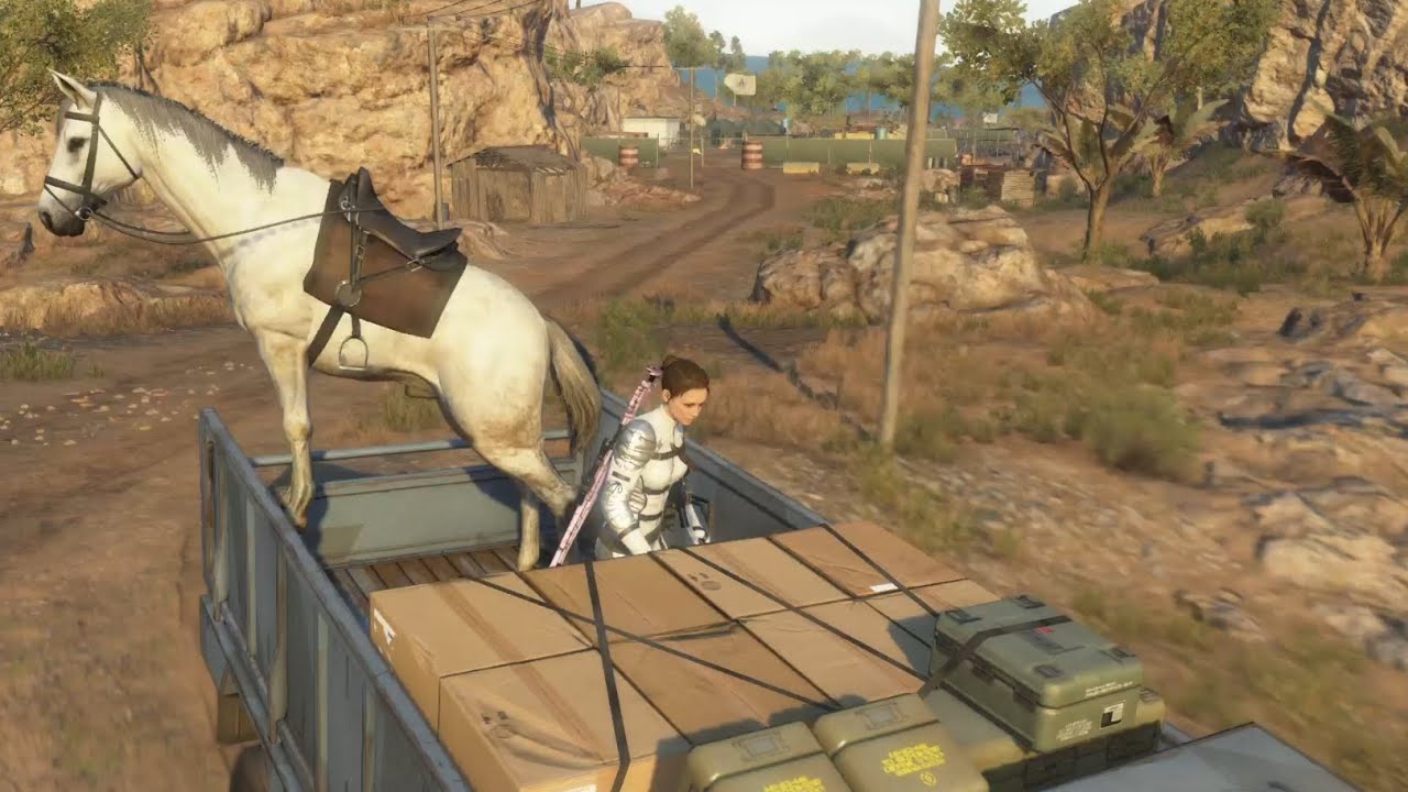 The REAL Tactical Horse Deployment 😁 🐴🚚 - YouTube