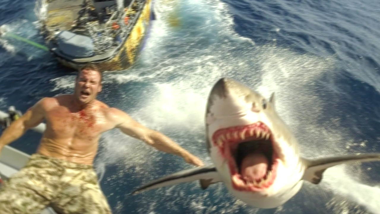 U.S. Navy Sailor Falls Off Nimitz into Shark-Infested Waters on January ...