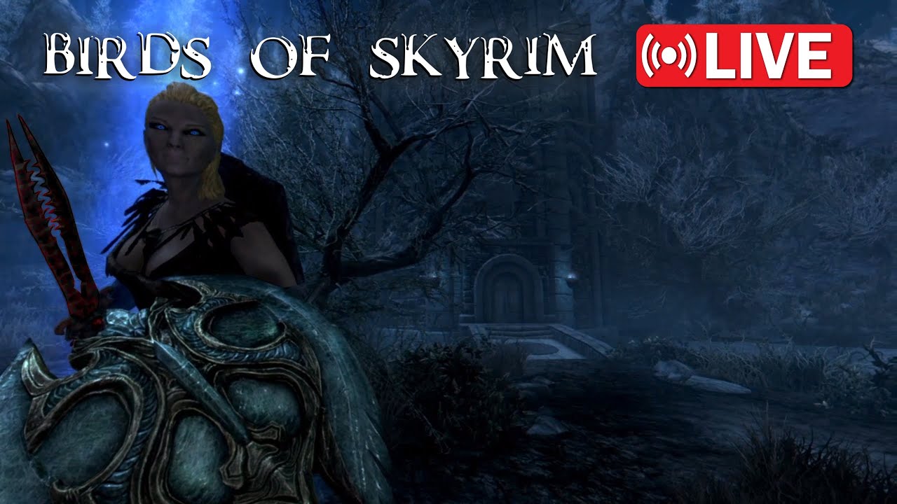 Birds Of Skyrim Live Ambience Wallpaper Screensaver Sleep Noises ...