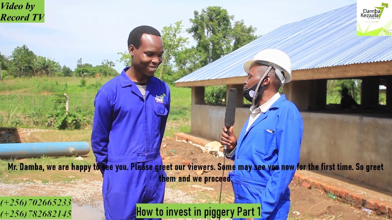 How To Invest In Piggery Part 1 YouTube how-to-invest-in-piggery-part-1-youtube