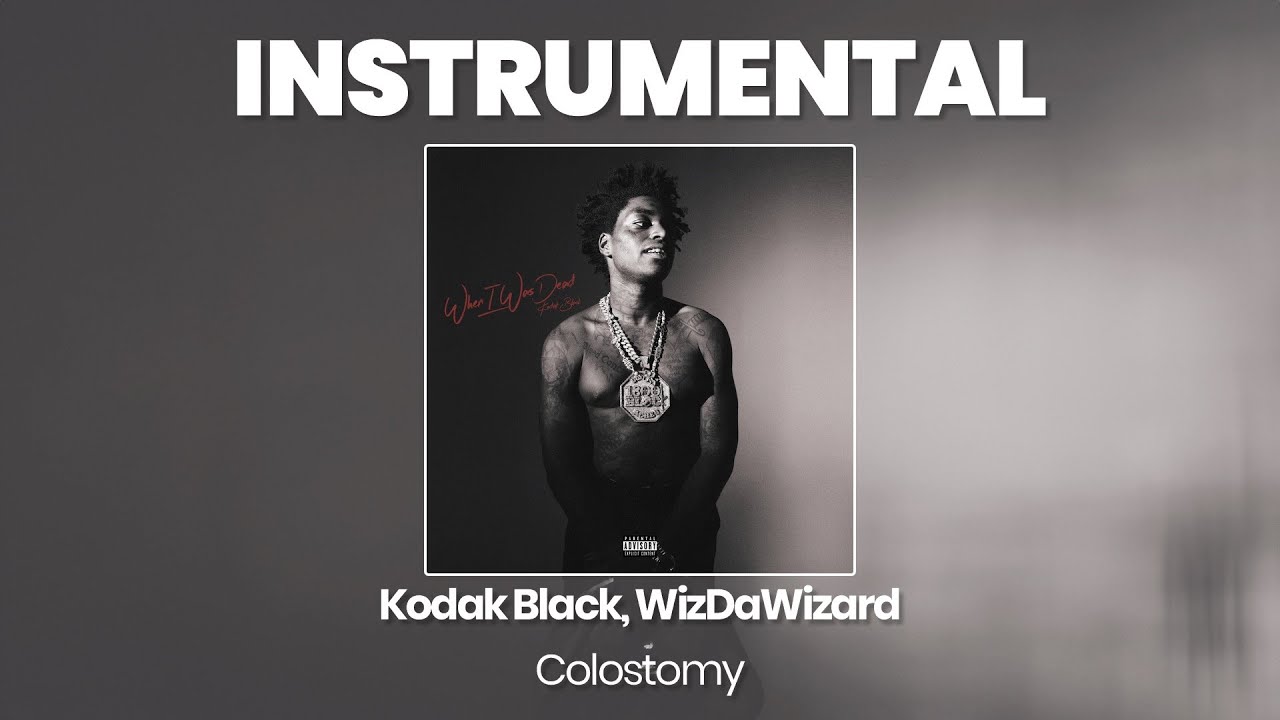 INSTRUMENTAL BEAT : Colostomy - Kodak Black, WizDaWizard (HQ) - YouTube