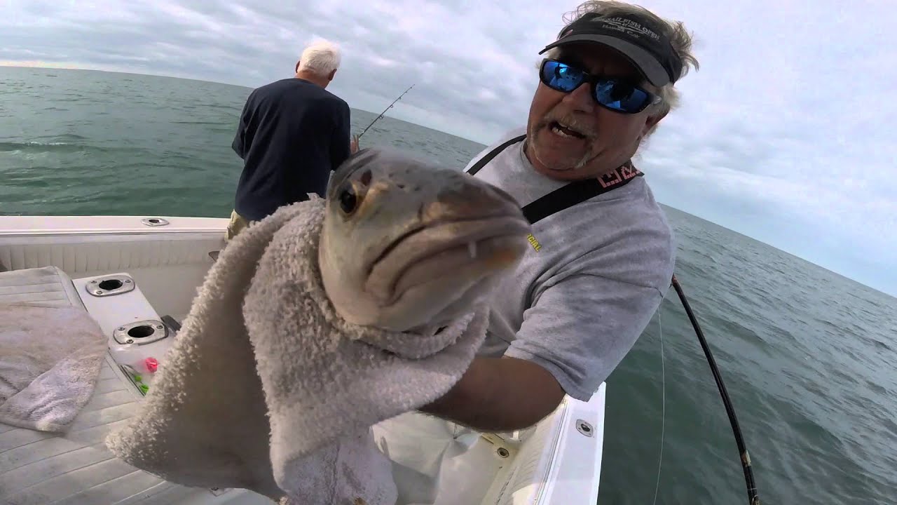 2016 01 Marathon Snapper - YouTube