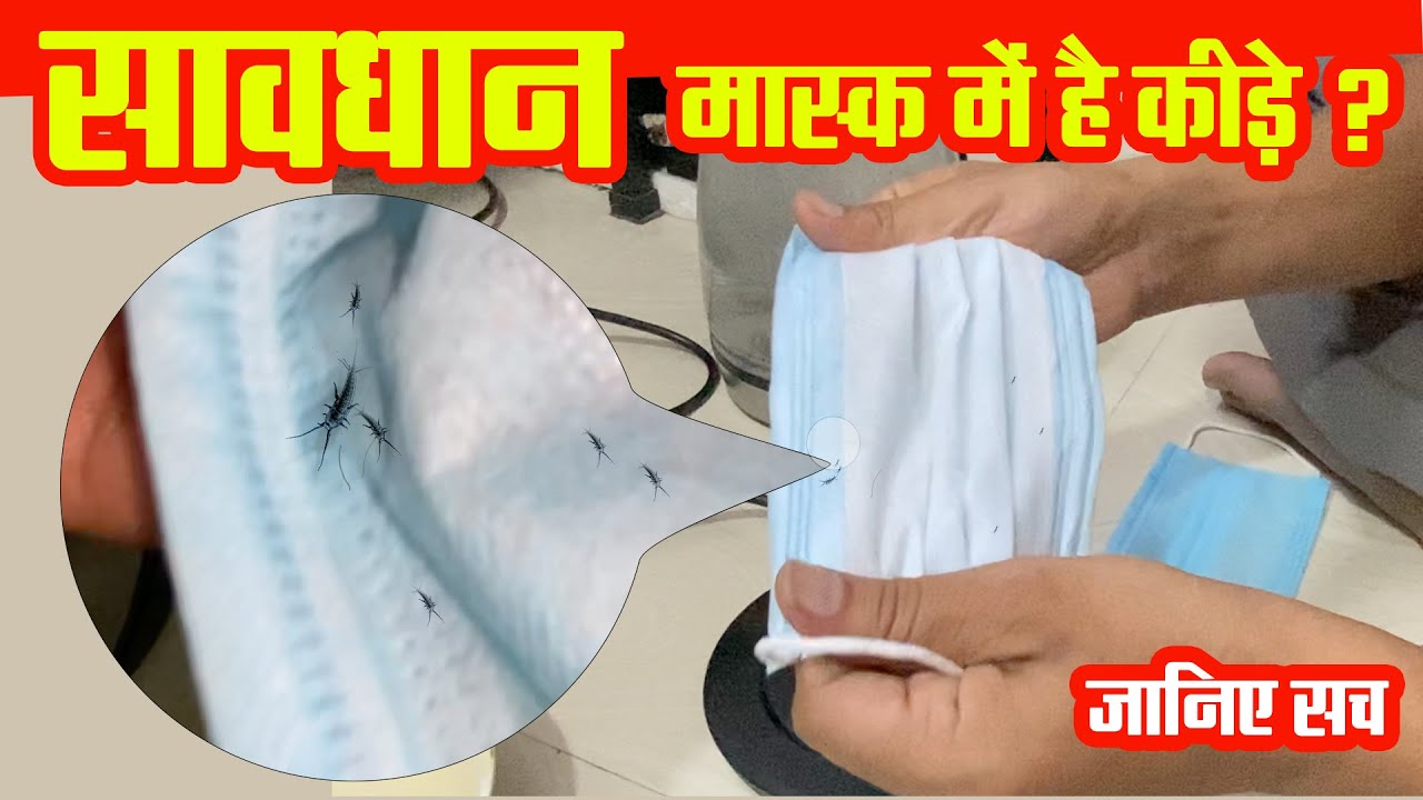 मास्क में है कीड़े! जानिए सच | सुरक्षित मास्क पहने। सावधान | Bugs in ...