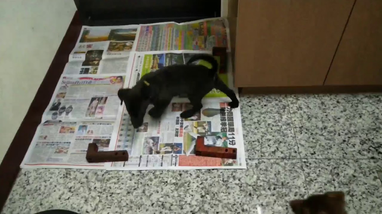 Owen is potty trained - YouTube