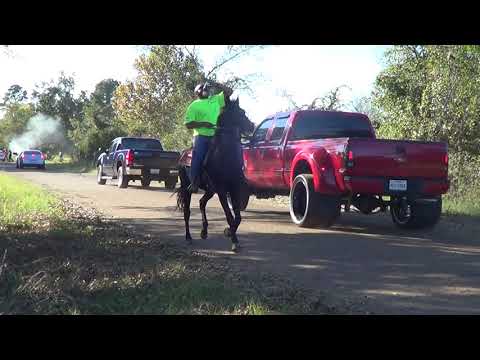 Huge Stampede Trail Ride in Texas - YouTube